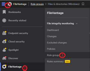 CrowdStrike’s FileVantage Feature and How to Set Policy. – Ali Rodoplu