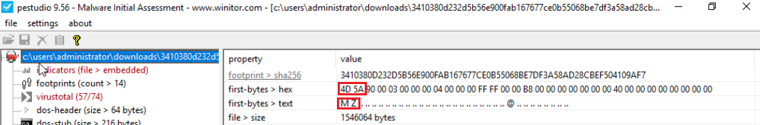 Finding Malware by Performing Static Analysis with PeStudio – Ali Rodoplu